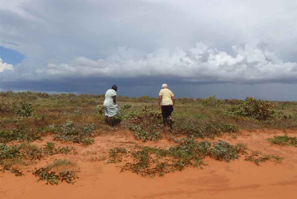 Connecting People to Place | Landscape Australia