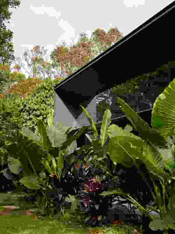 Meet the owners of Muli Muli by DFJ Architects | ArchitectureAu