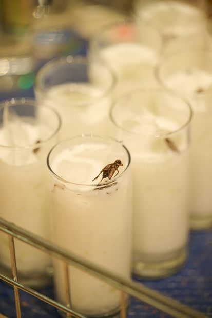 Food for thought: Long Prawn blends food, art and performance ...