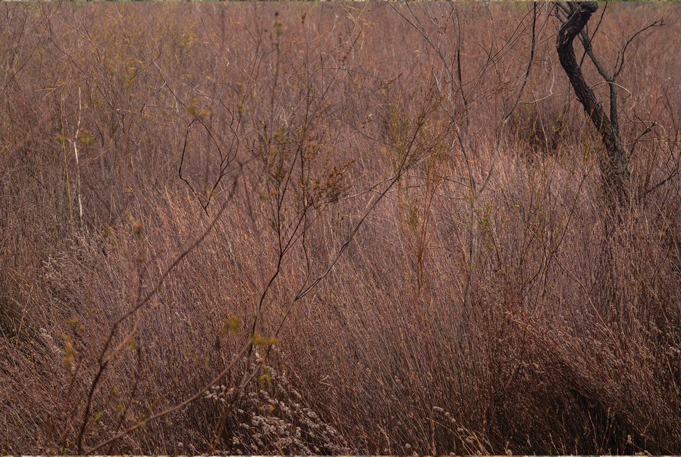 An issue on time | Landscape Australia