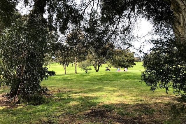 The People’s Park: Why is the opening of Northcote Golf Course to the ...