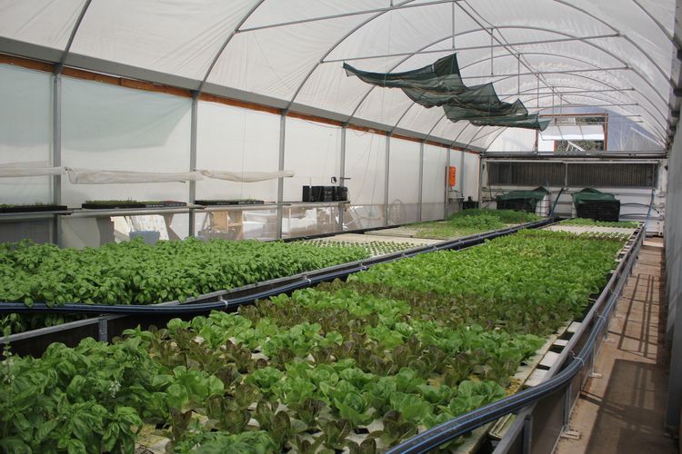 CUSP: Designing into the Next Decade | ArchitectureAU