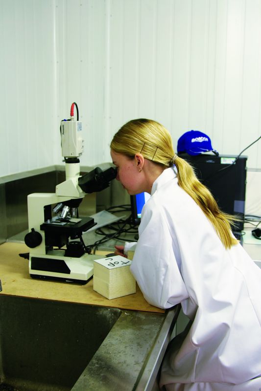 Bondor Metecno wins funding to boost plastic recycling in construction ...