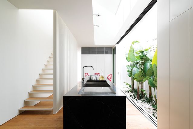 Double Bay House | ArchitectureAu