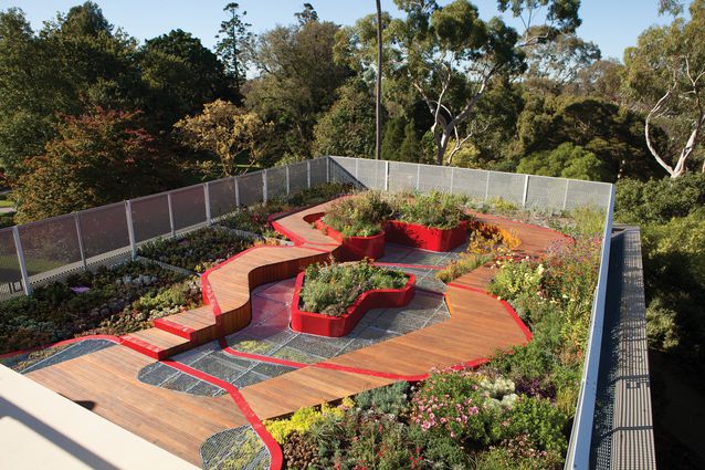 Fine-tuning the planting design cycle | Landscape Australia