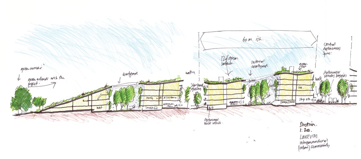 Making the most of life: The longevity bonus is a design issue ...