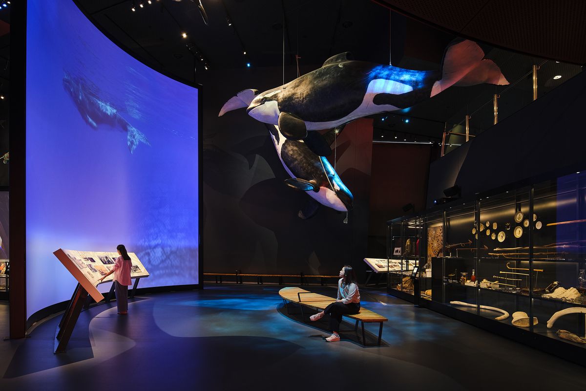 ARM completes expansion at National Museum of Australia | ArchitectureAu