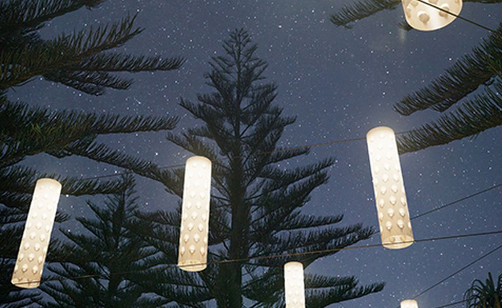 Wallum banksia sculptures to light up Gold Coast | ArchitectureAU