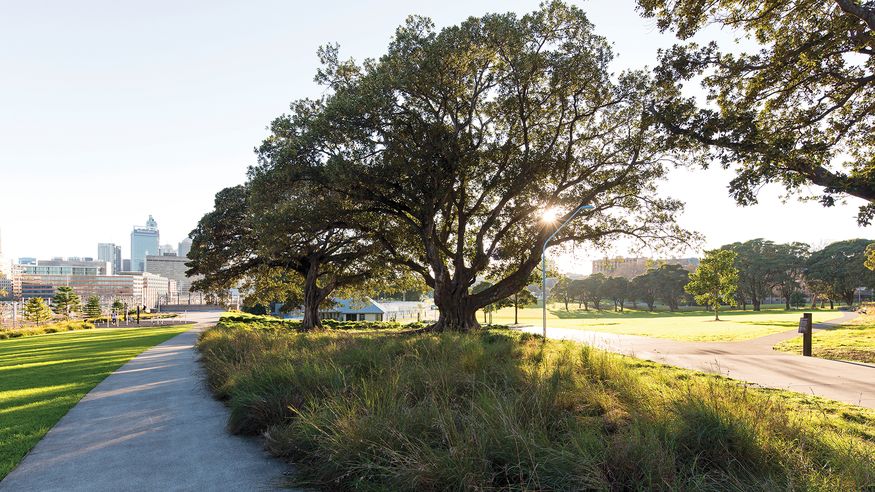 Evidencing the benefits of green space | Landscape Australia