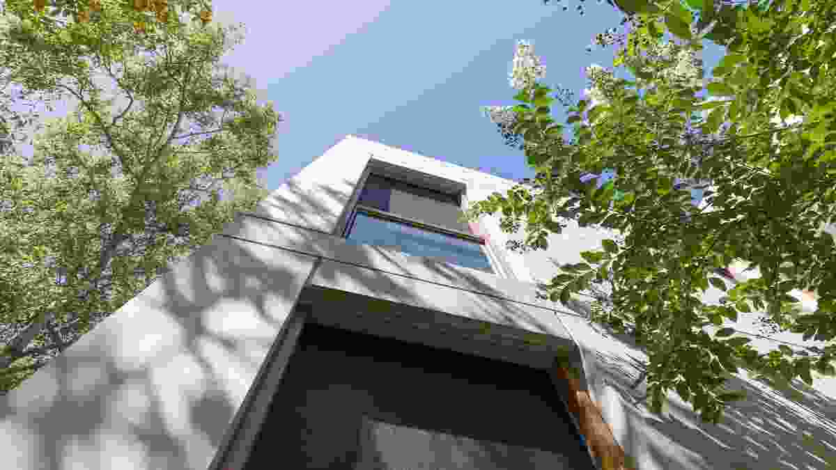 Treetops House by Partridge | ArchitectureAu