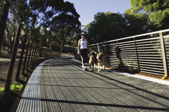 River Torrens Bridge | ArchitectureAU