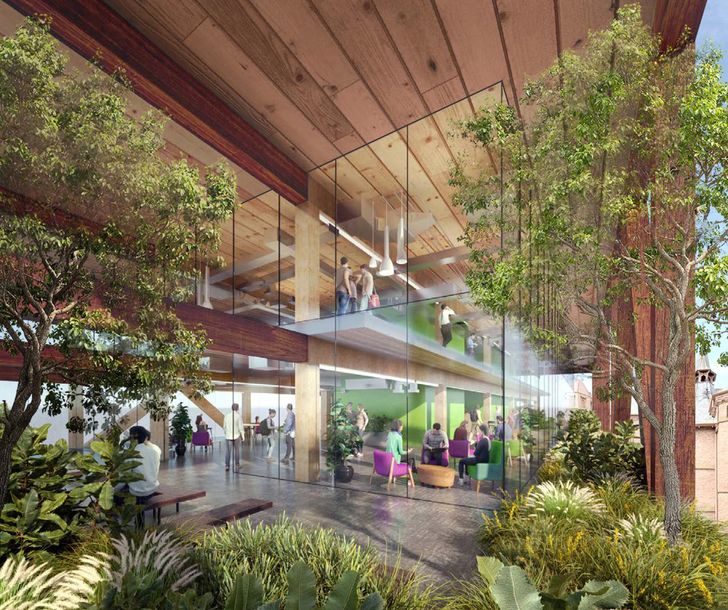 Mass timber office building designed to be Tasmania's greenest ...
