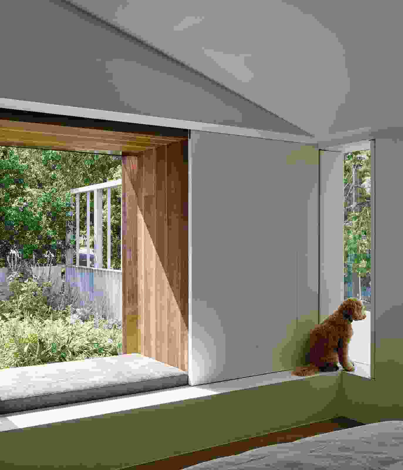 Flood-proof and connected to nature: Beck Street | ArchitectureAu