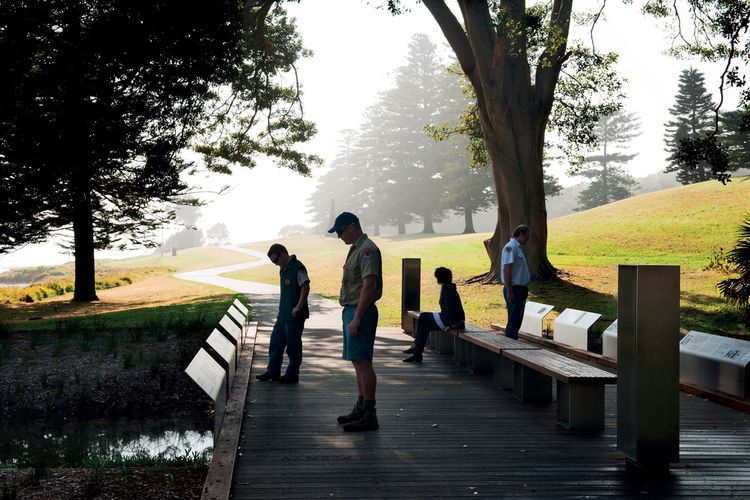 Burrawang walk | ArchitectureAu