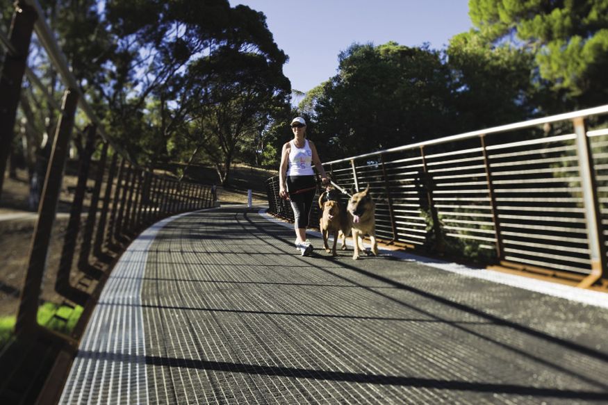 River Torrens Bridge | ArchitectureAu