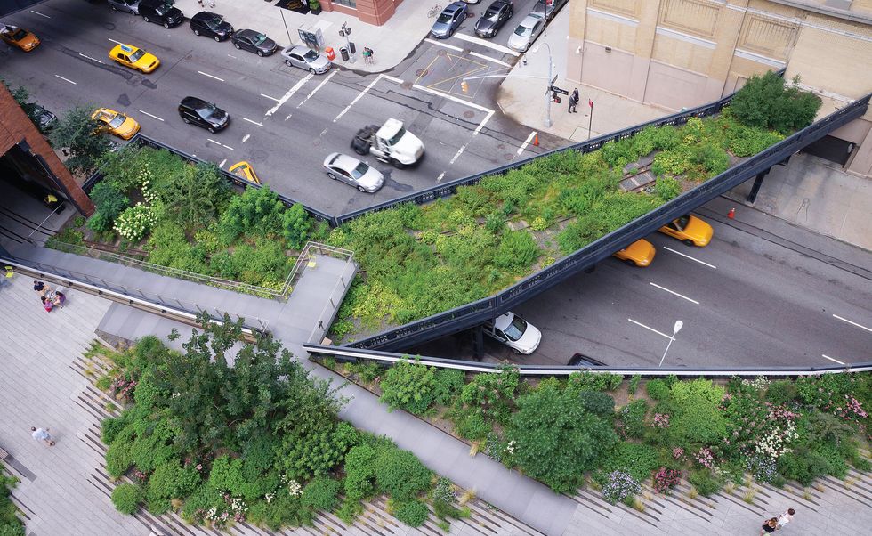 Gardens of the High Line: Elevating the Nature of Modern Landscapes ...