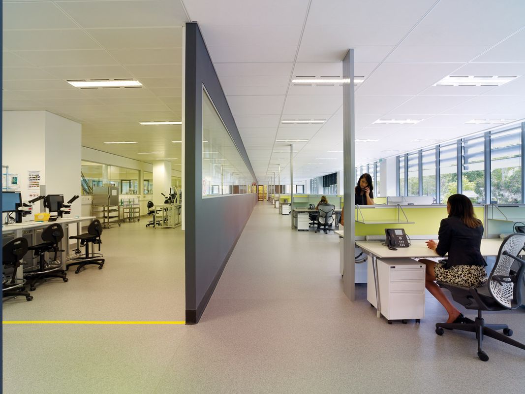 Cochlear headquarters, interiors by Geyer | ArchitectureAu