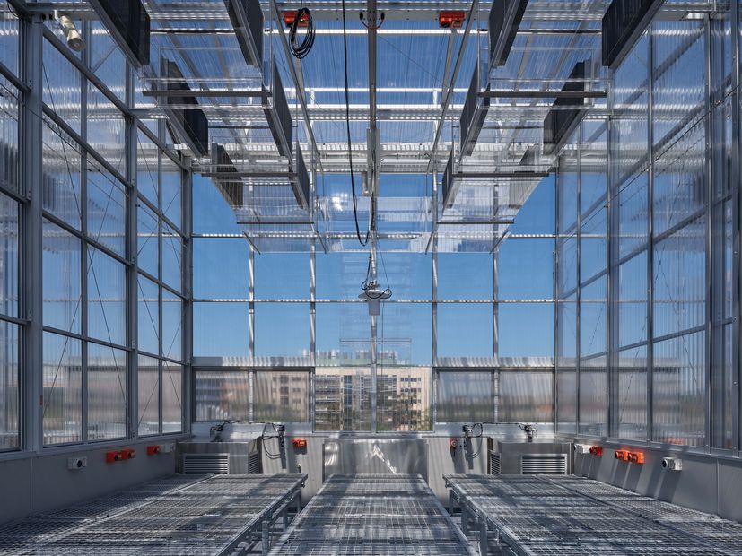 Plant Futures Facility by M3 Architecture | ArchitectureAu