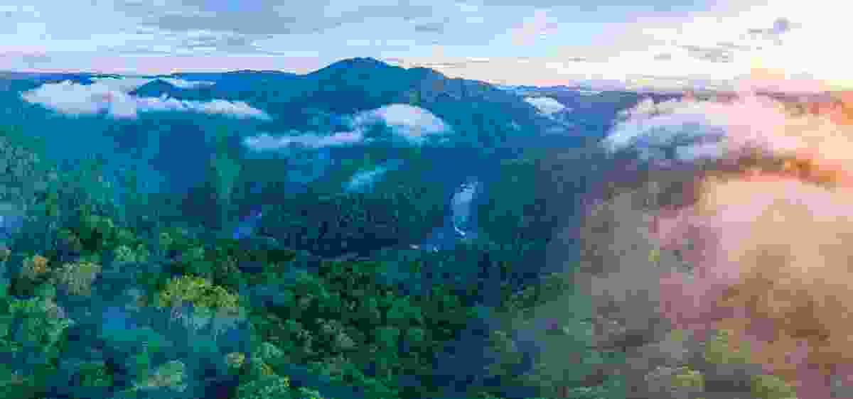 ‘A canary in the coal mine’: Combatting biodiversity loss in the Wet ...