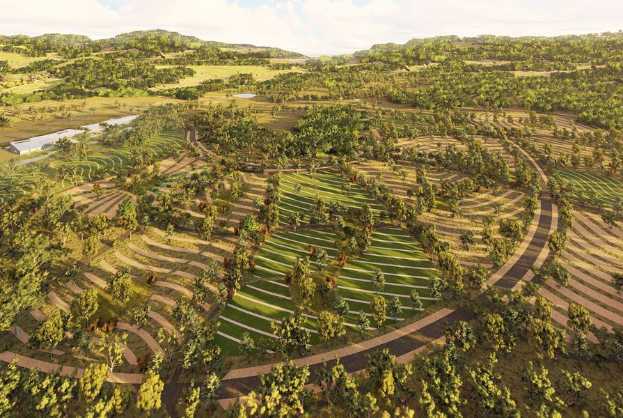 Draft masterplan for Canberra "bush cemetery" revealed | Landscape ...