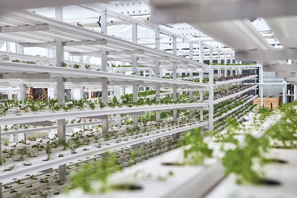 NH Architecture breaks paradigm of traditional retail centres ...