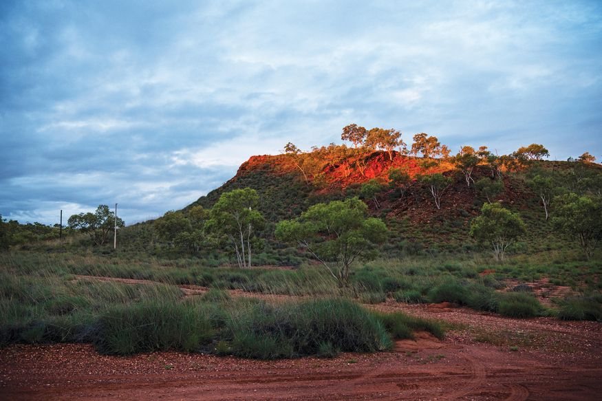Viewpoint: Celebrating landscape architecture practice in northern ...