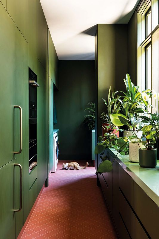 ‘A feeling of joyful exuberance’: Wowowa Architecture | ArchitectureAu