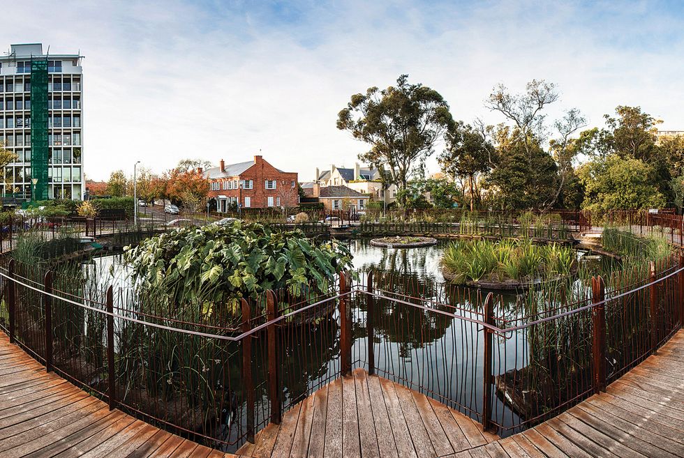 Andrew Laidlaw: People and plants | ArchitectureAu