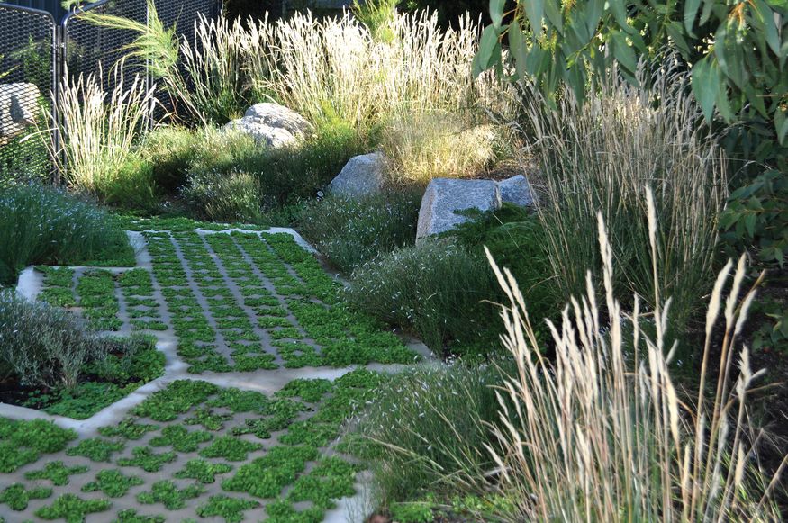Charles House: A new bush garden | Landscape Australia