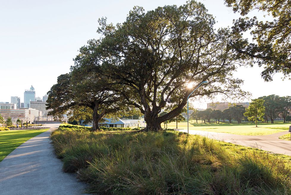 Evidencing the benefits of green space | Landscape Australia