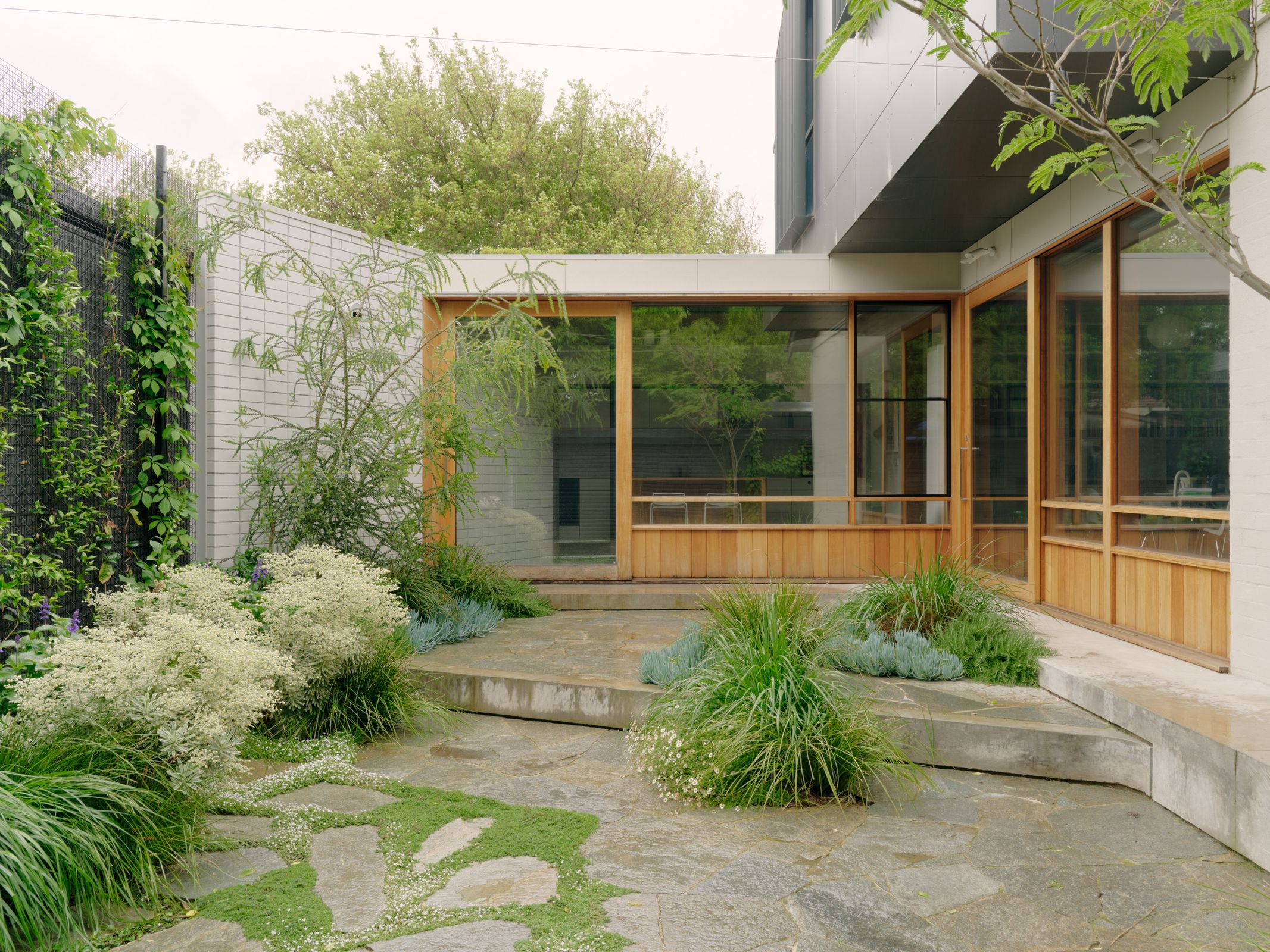 Elwood by Agius Scorpo Architects | ArchitectureAu