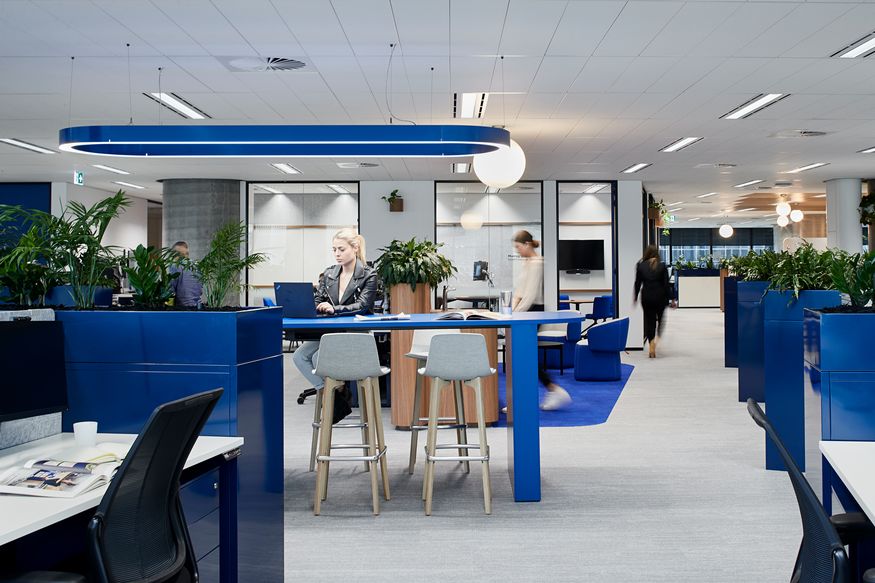 Diversity in thinking and culture: IDP Education office | ArchitectureAu