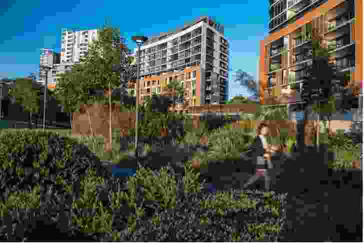 Wetland dreaming: Water in high-density developments | Landscape Australia