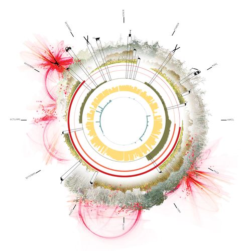 Lo-fi landscapes: Estudi Martí Franch | Landscape Australia