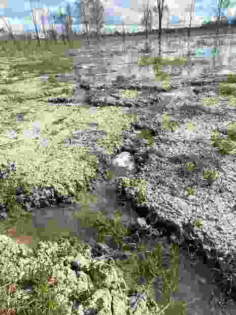 Billilia and the Boomerang Billabong: Regenerative landscape approaches ...